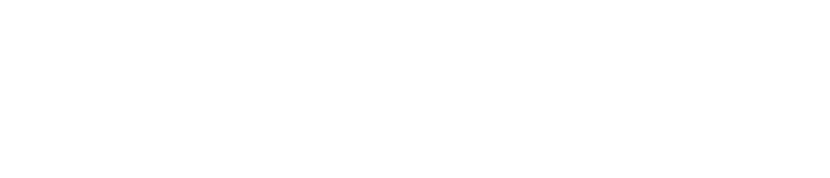 LICCO – CÁTEDRA COMERCIO